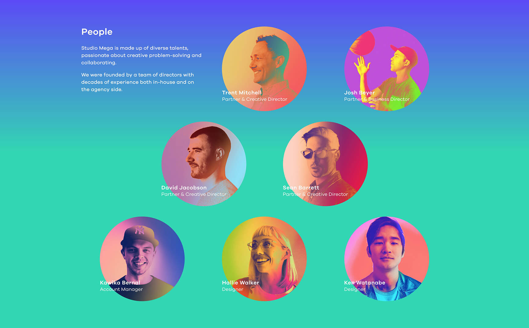 Van Holtz Co – Work – Studio Mega